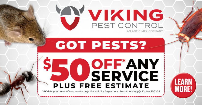 Pest Control for Your Home