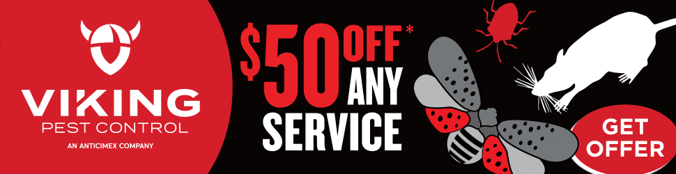 Pest Control for Your Home