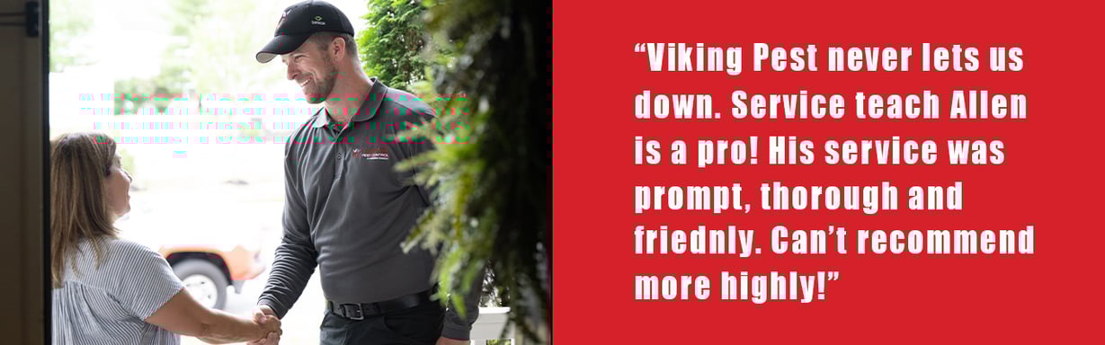 Pest Control for Your Home