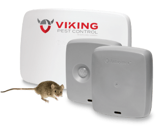 Pest Control for Your Home