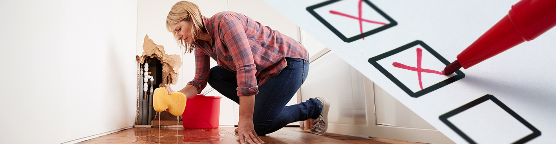 Post-Storm Structural Damage Checklist - Viking Pest