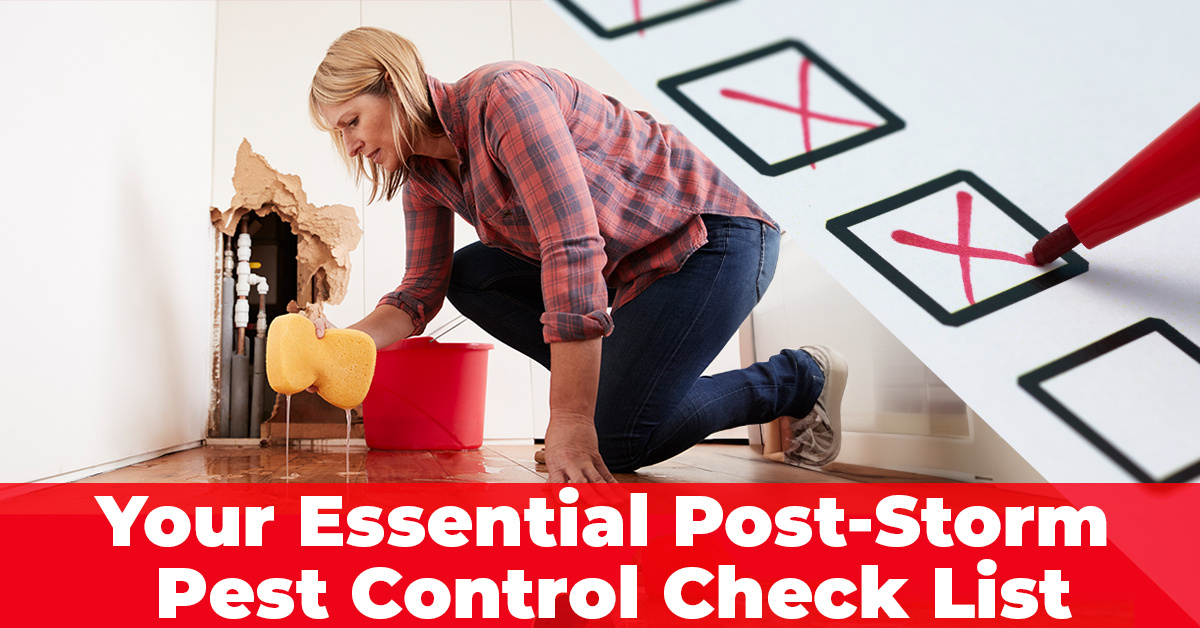 Post-Storm Structural Damage Checklist - Viking Pest